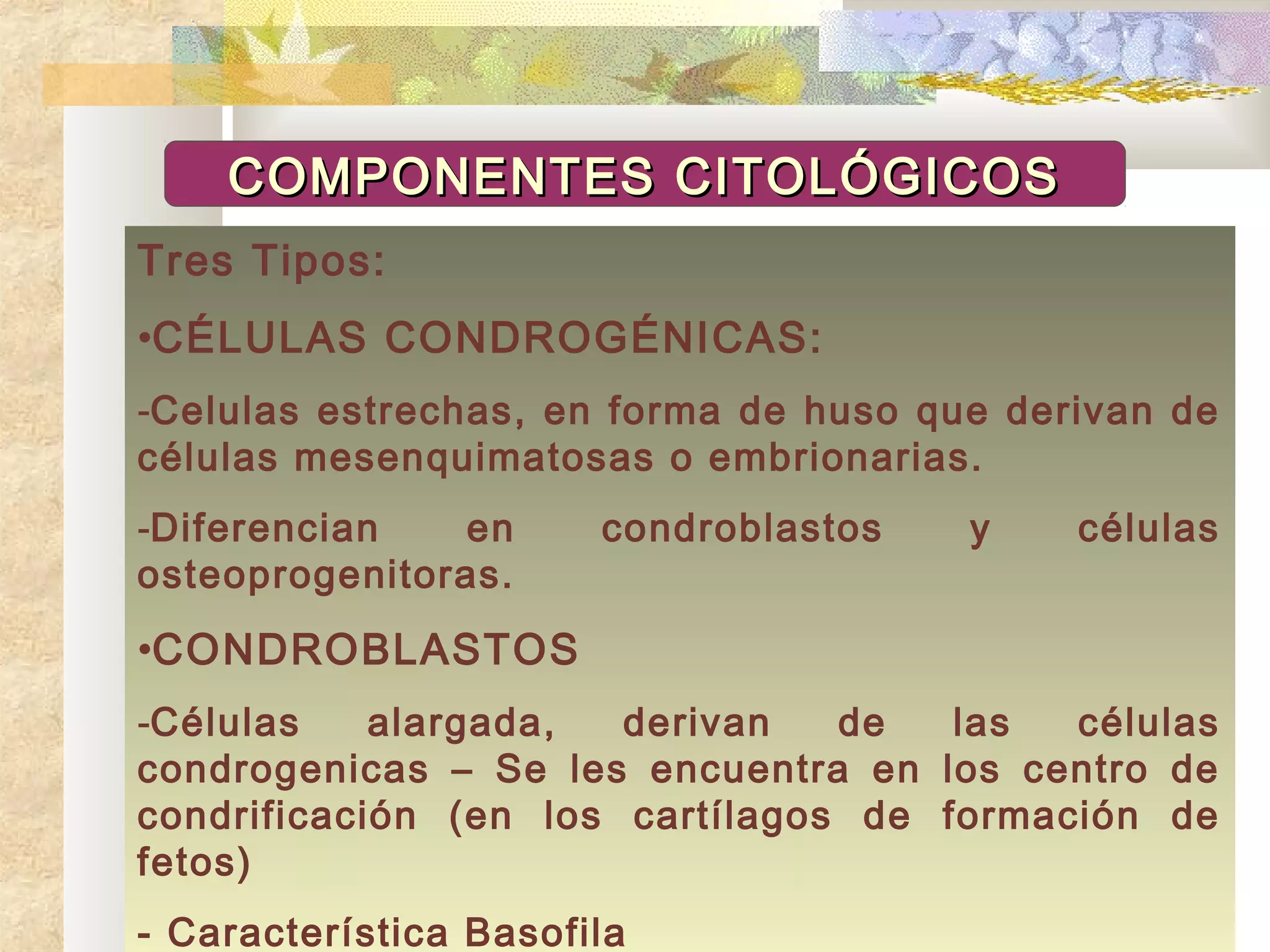 Exposición tej cartilaginoso | PPT