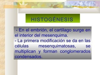 Exposición tej cartilaginoso | PPT