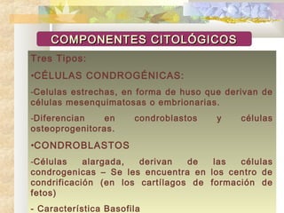 Exposición tej cartilaginoso | PPT