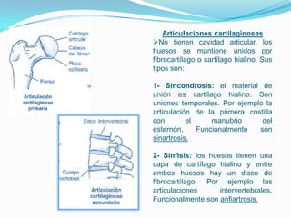Articulaciones | PPTX