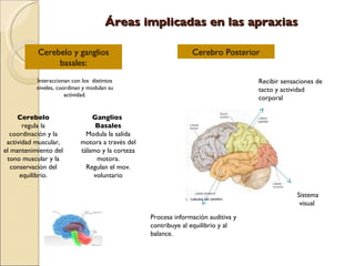 Presentación sobre Apraxia | PPT