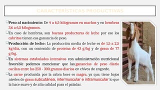 CARACTERISTICAS FENOTIPICAS DEL CAPRINO BOER | PPTX