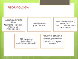 Exposicion colecistitis | PPTX