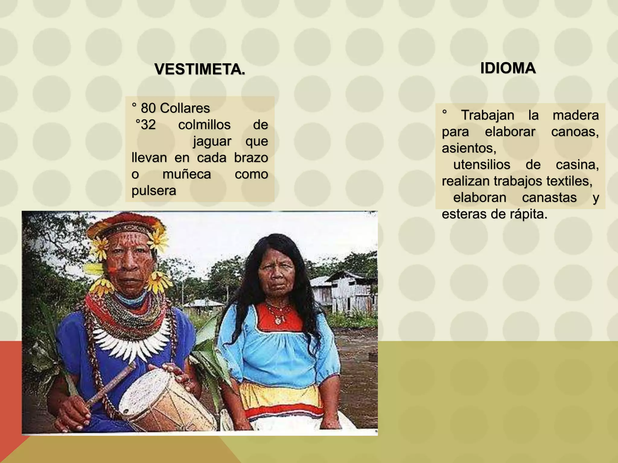 ETNIAS ZAPAROS, CHACHI O CAYAPAS, TSACHILA Y SIONA | PPT