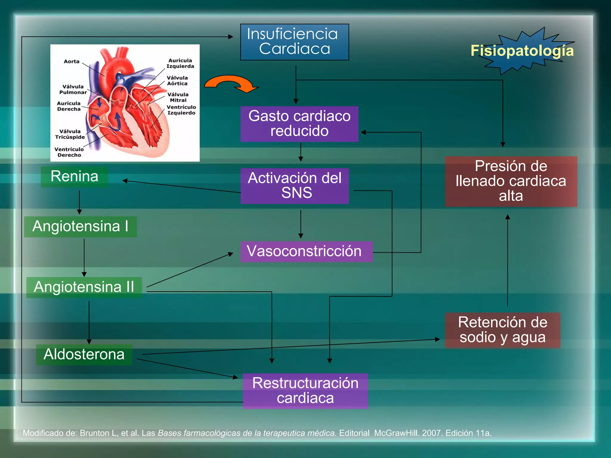 Insuficiencia Cardiaca | PPT