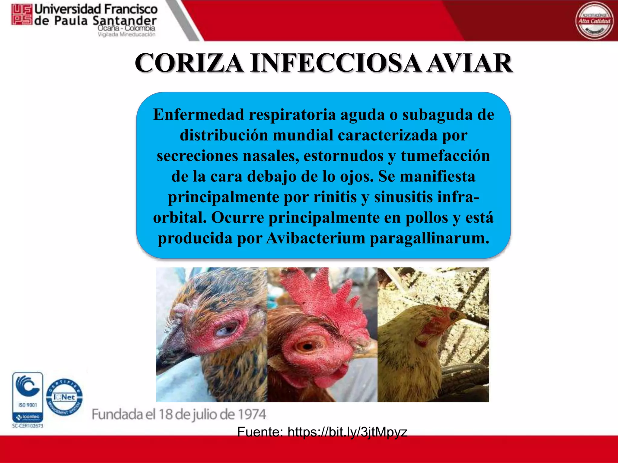 CORIZA INFECCIOSA AVIAR- UFPSO | PPTX