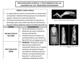 -Mano traumática, curso de traumatología | PPTX