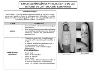-Mano traumática, curso de traumatología | PPTX