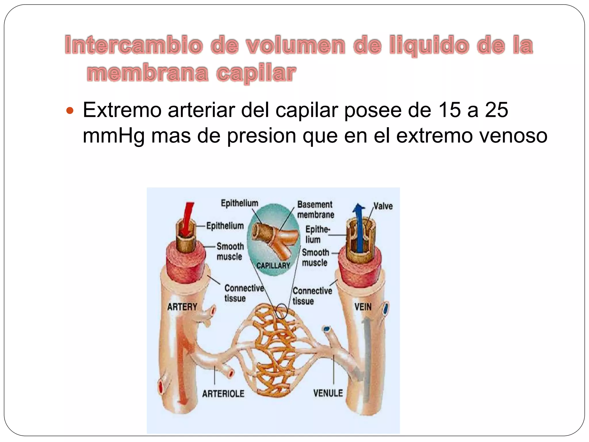 La microcirculación y el sistema linfático: intercambio de líquido ...