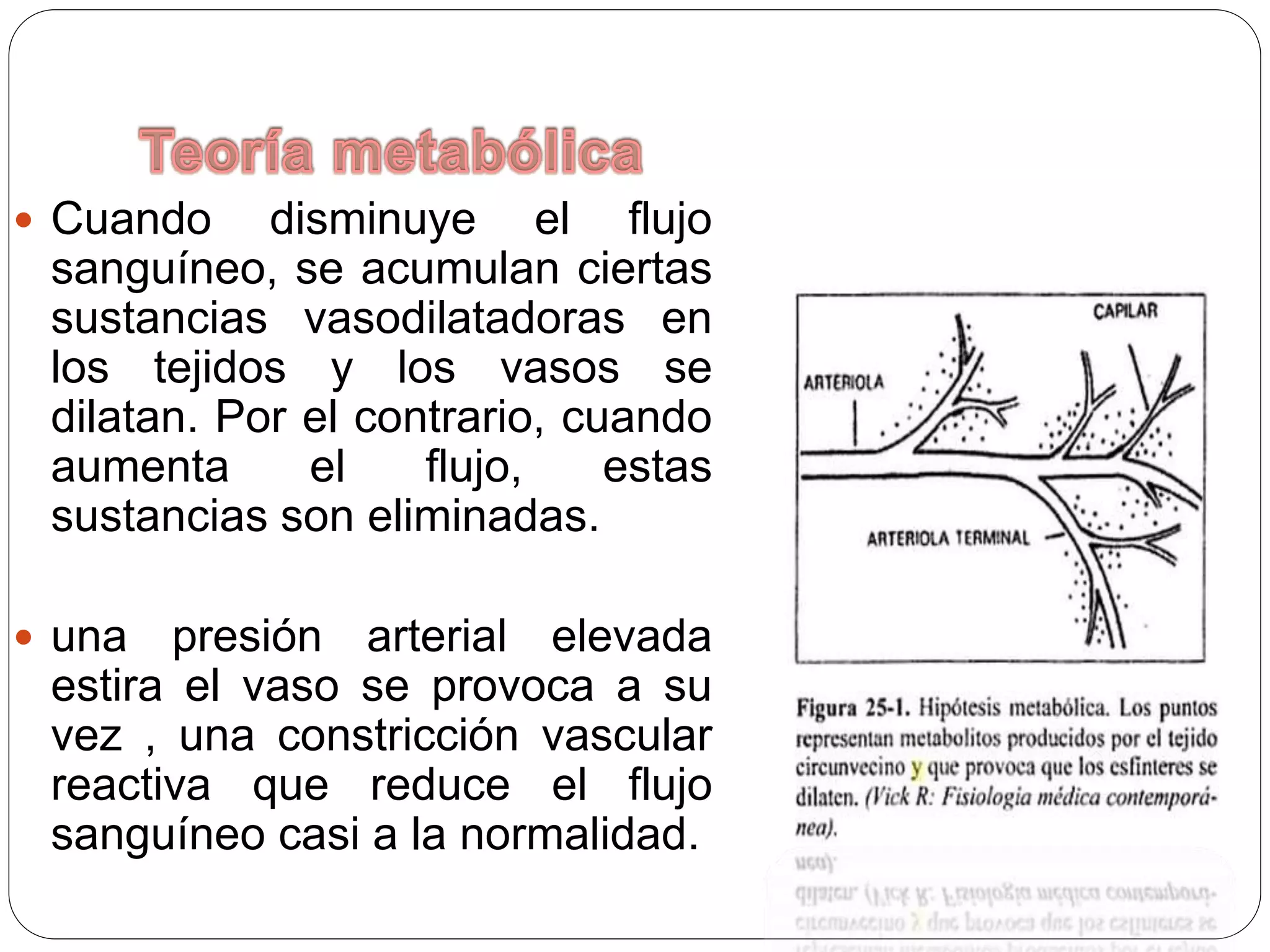 La microcirculación y el sistema linfático: intercambio de líquido ...