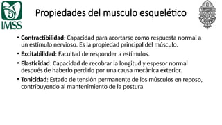 exposicion anatomia del musculo esqueletico | PPTX