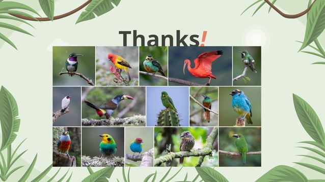 exposición aves explorando la biodiversidad de aves .pptx