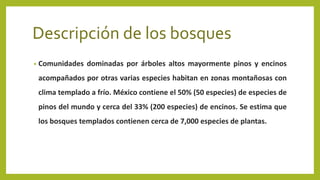 Exposicion Biologia Bosques templados.pptx