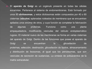 Exposicion biologia organelos | PPTX