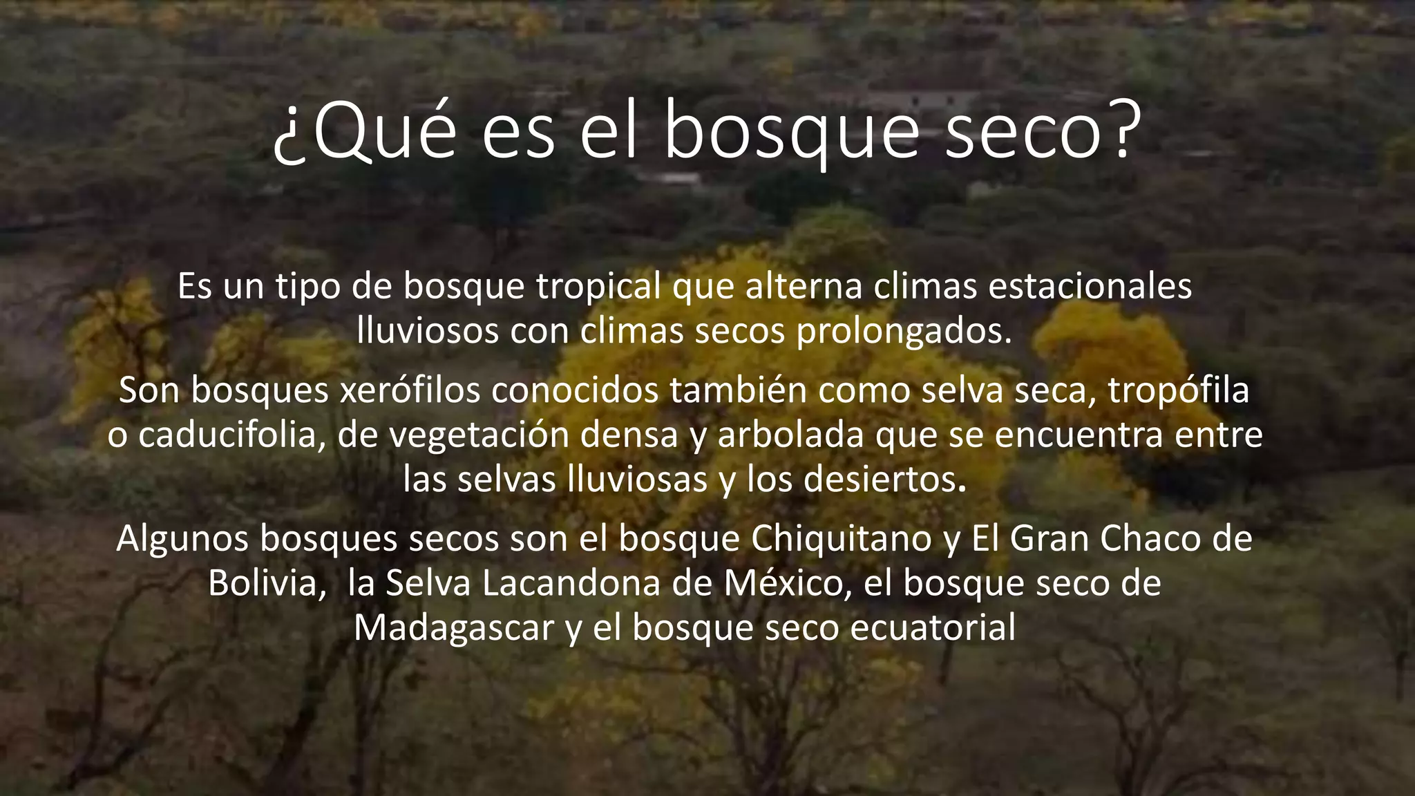 Bosque tropical seco y bosque tropical muy seco | PPTX
