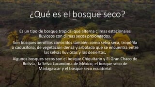 Exposicion bosque tropical seco 2 b | PPTX