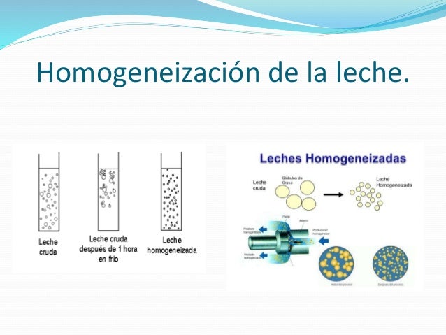 La leche y sus derivados