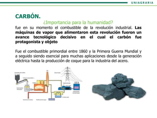 EXPOSICION CARBON.pptx