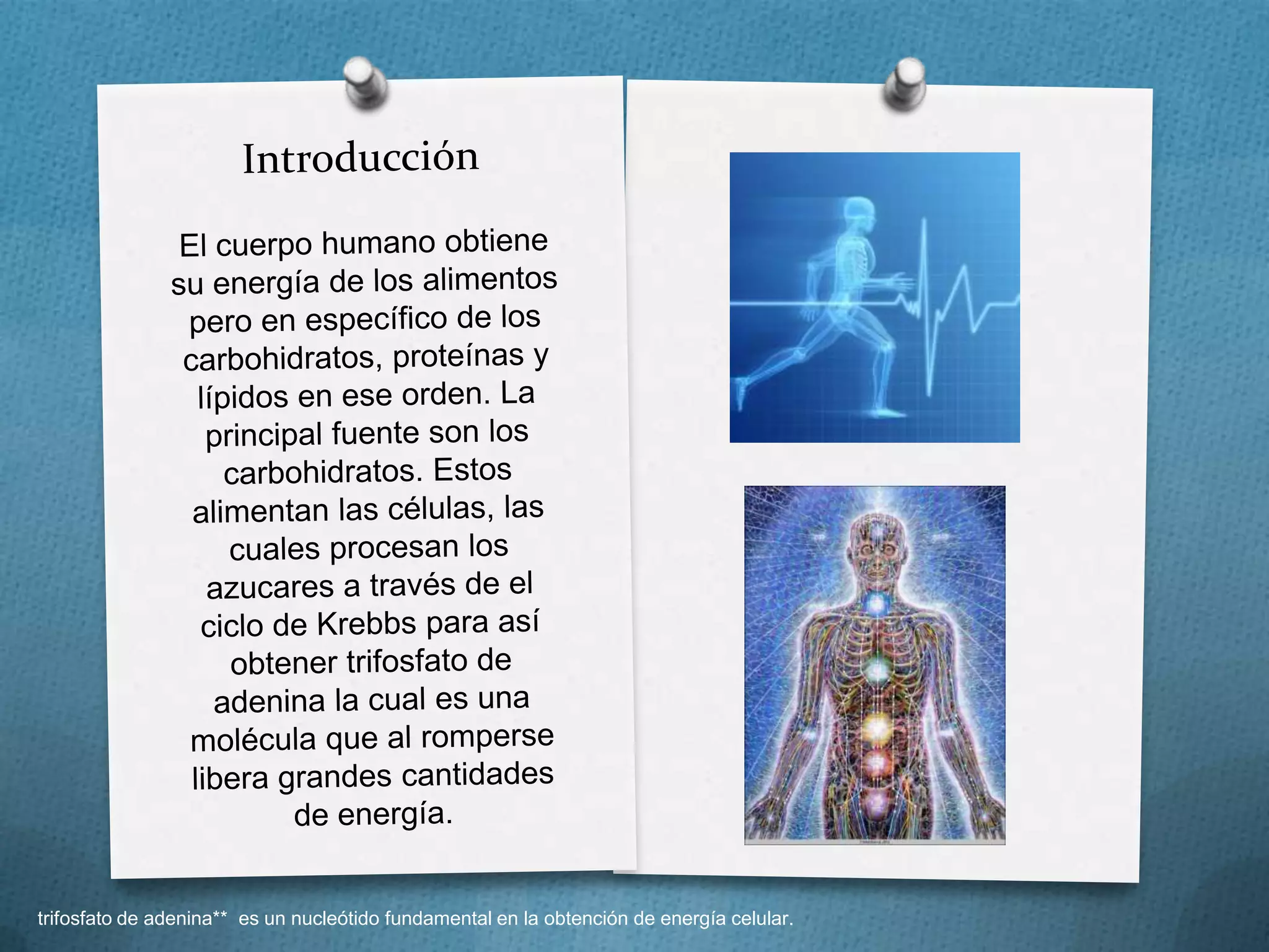 ¿De donde obtiene energía el cuerpo humano? | PPTX