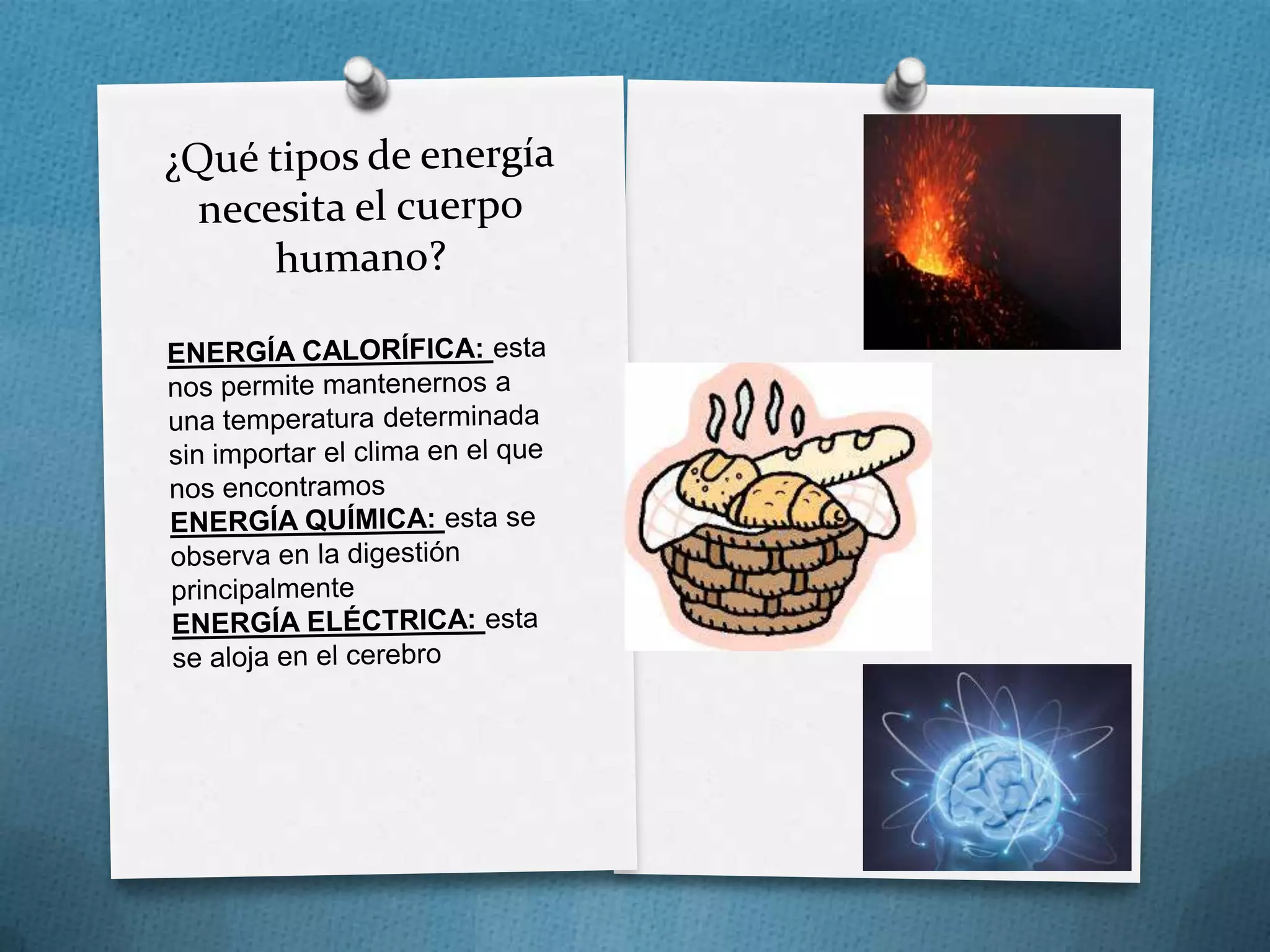 ¿De donde obtiene energía el cuerpo humano? | PPT