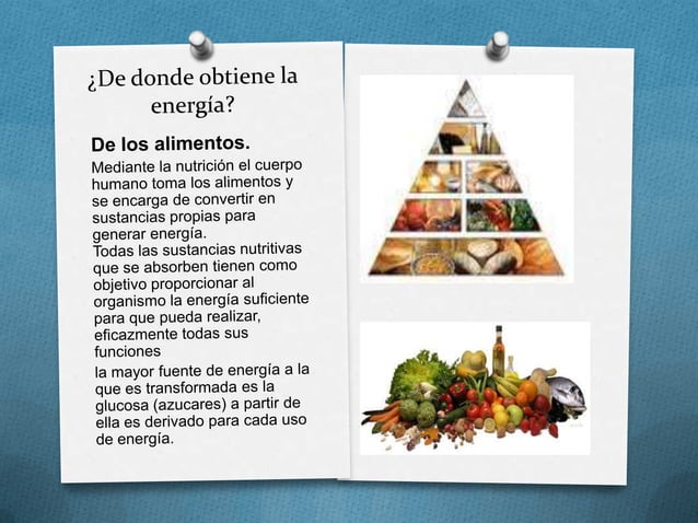 ¿De donde obtiene energía el cuerpo humano? | PPTX