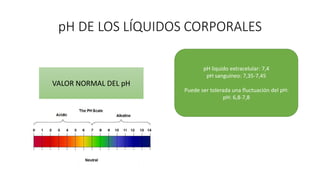 Exposicion cirugiaph acidossis alcalosis | PPTX
