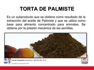 INCLUSIÓN DEL PALMISTE Y LA UREA EN LA ALIMENTACIÓN ANIMAL | PPTX