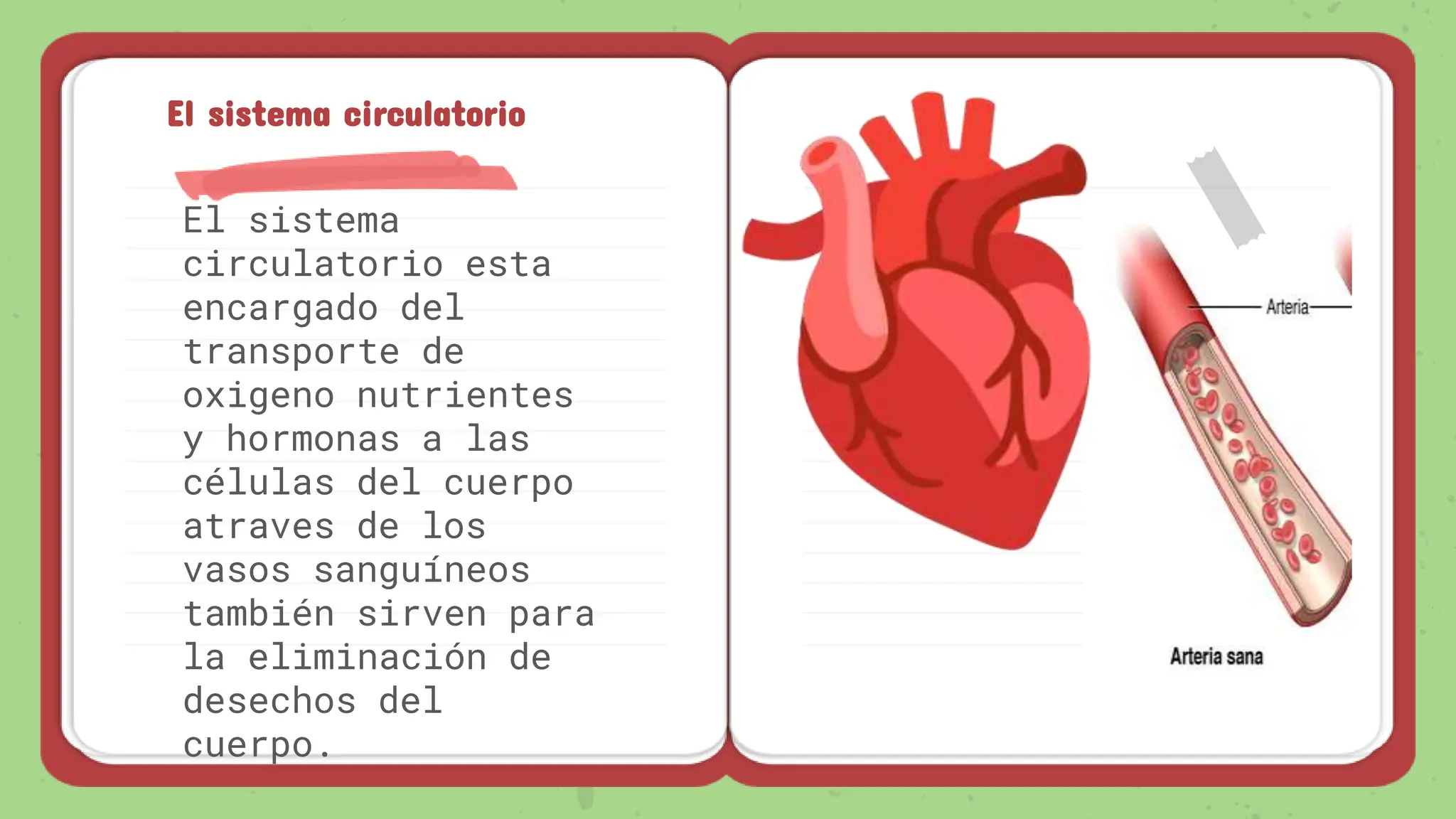 exposicion de biologia el sistema circulatorio.pptx
