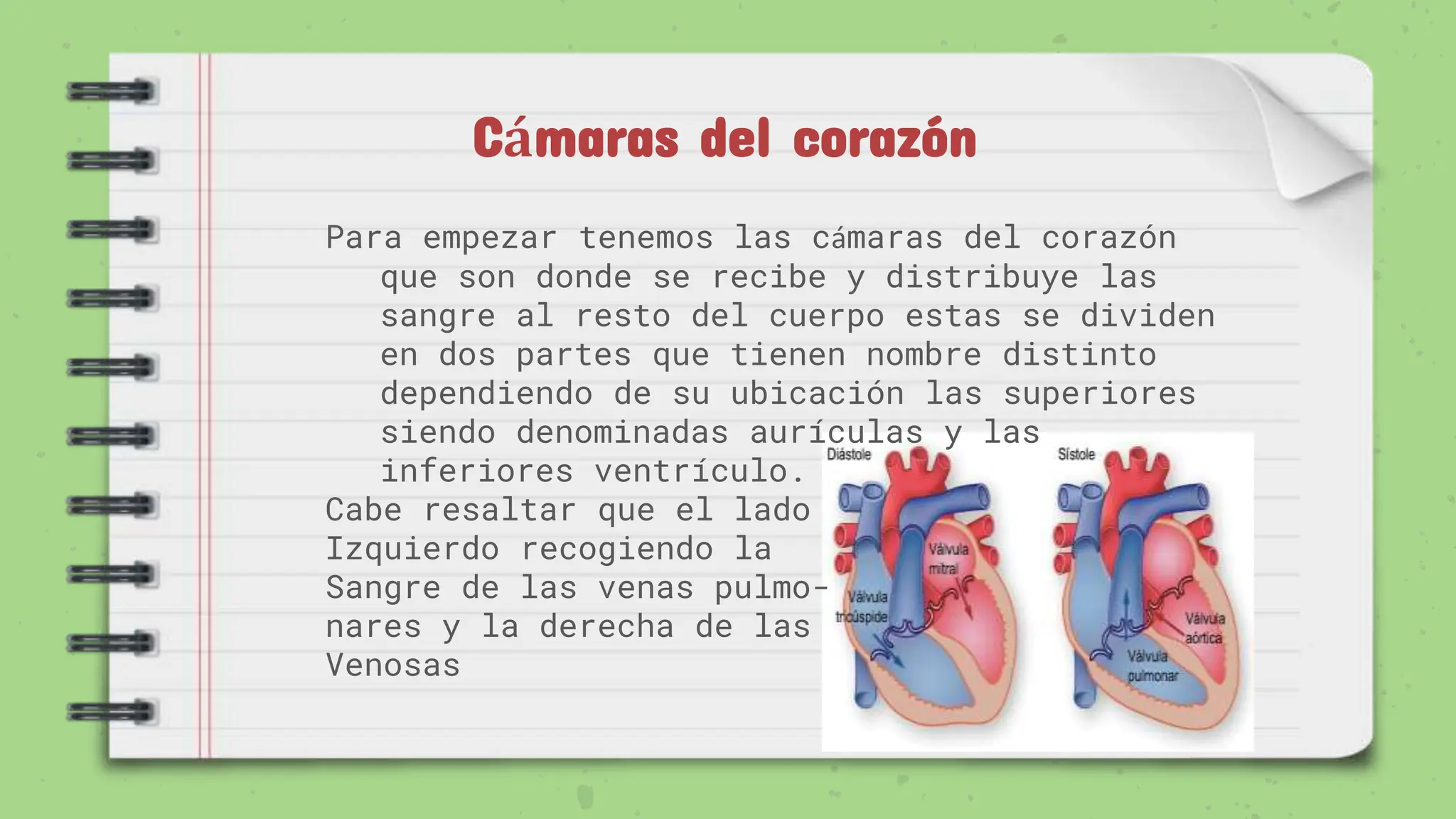 exposicion de biologia el sistema circulatorio.pptx