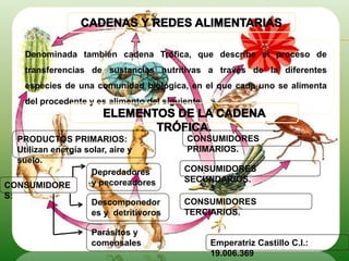 relaciones interespecíficas y redes alimentarias | PPTX