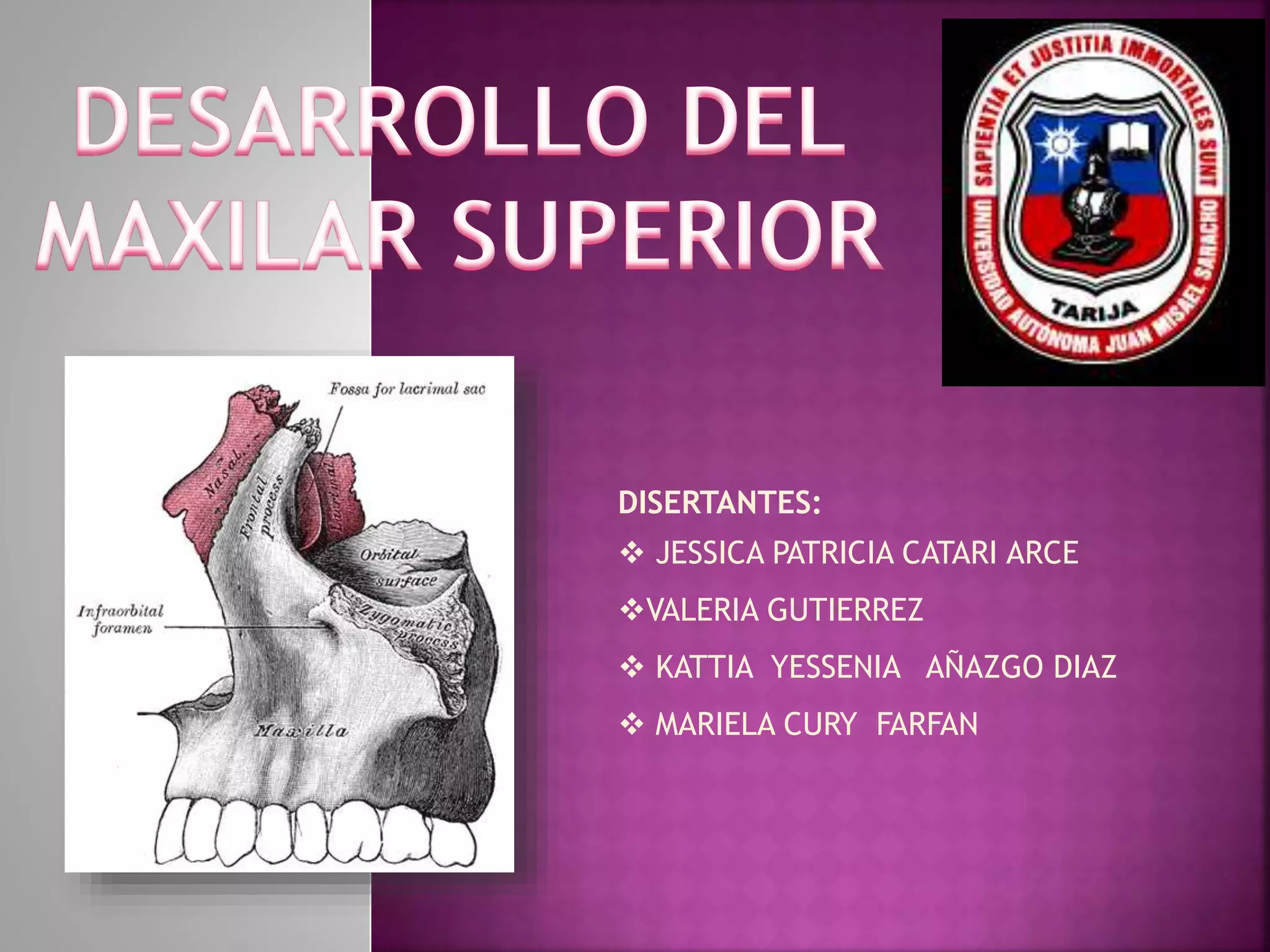 Exposicion de desarrollo del maxilar superior | PPT | Descarga Gratuita