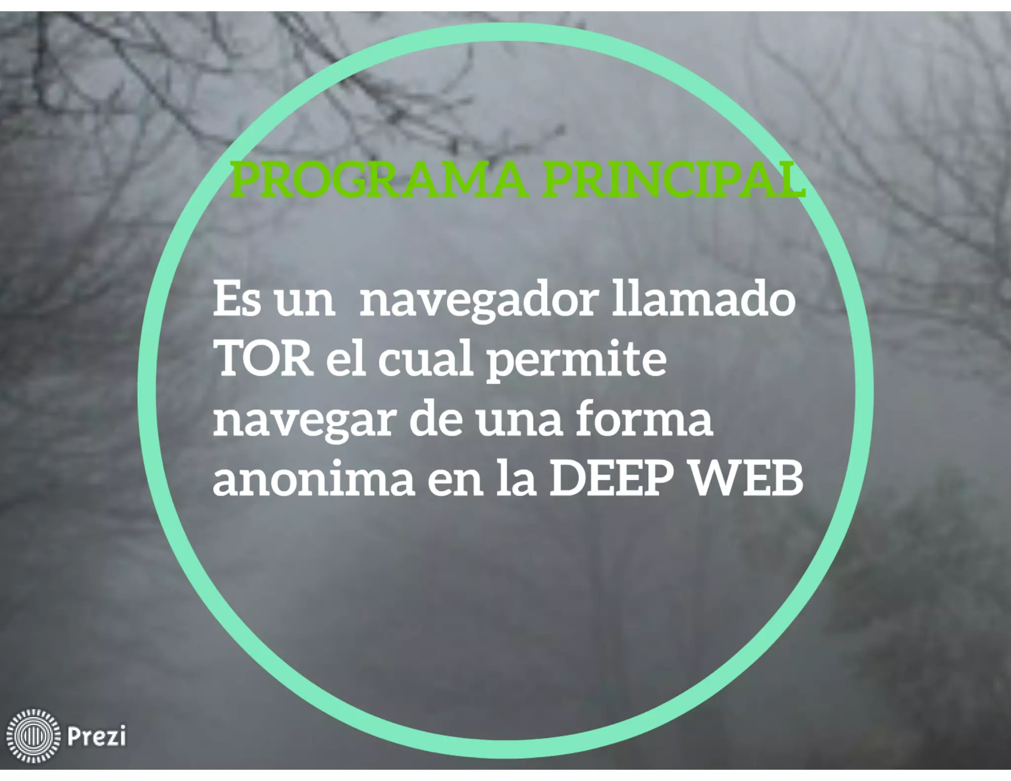 Exposicion deep weeb | PDF