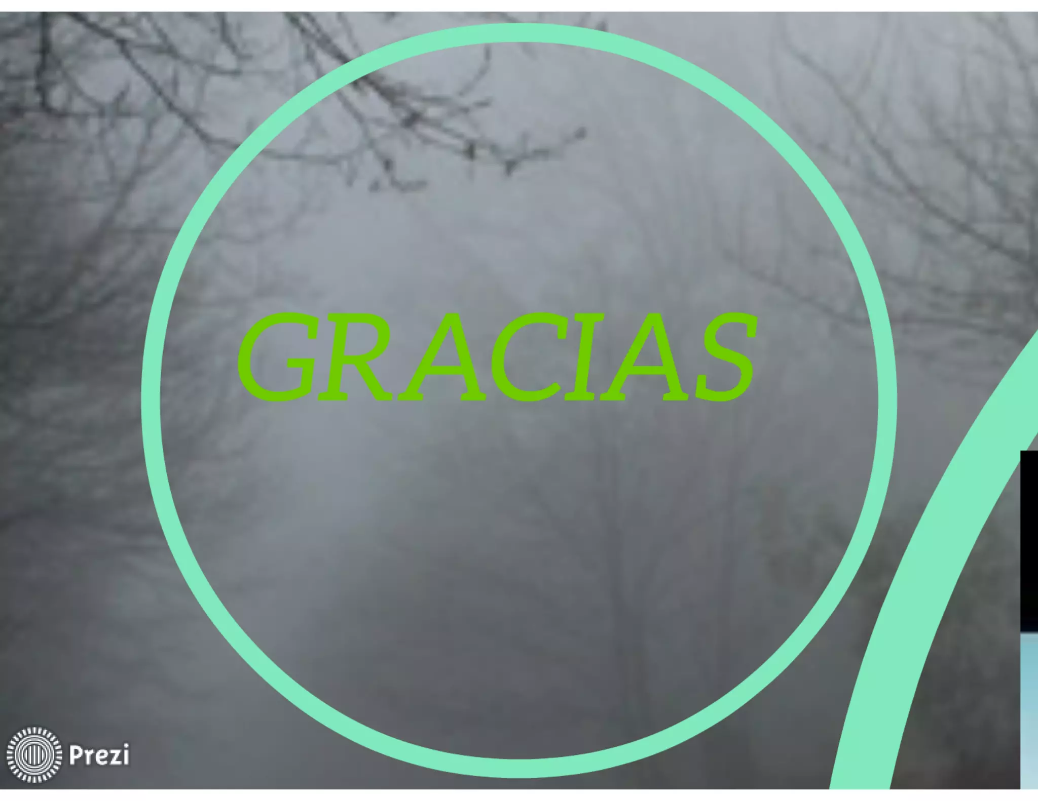 Exposicion deep weeb | PDF