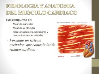 Musculo Cardiaco: Corazón como bomba | PPTX