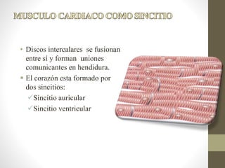Musculo Cardiaco: Corazón como bomba | PPTX