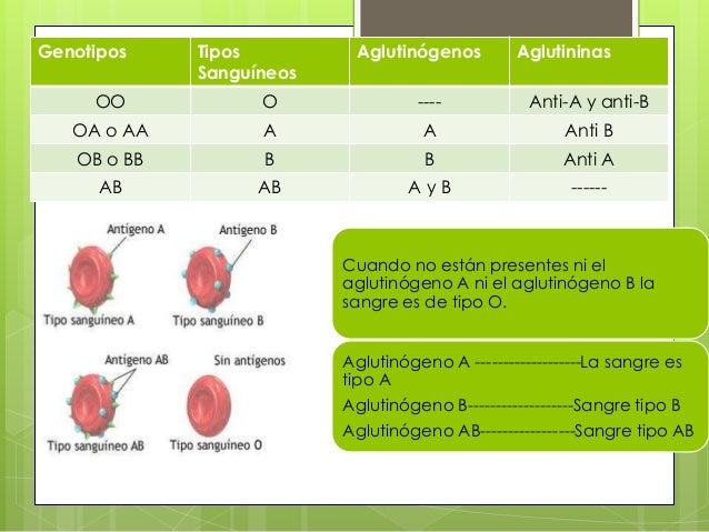 Exposicion de fisiologia