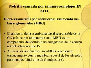 Exposicion De Glomerulare Entregar | PPTX