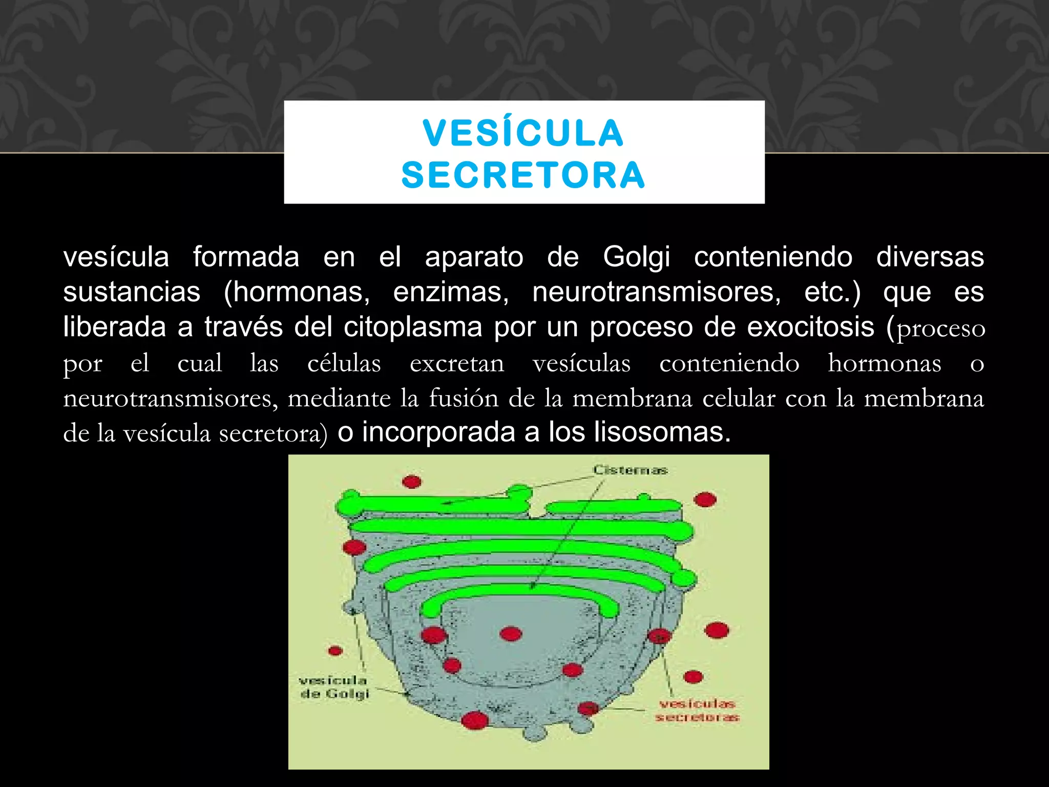 Exposicion de las partes de las celulas | PPT
