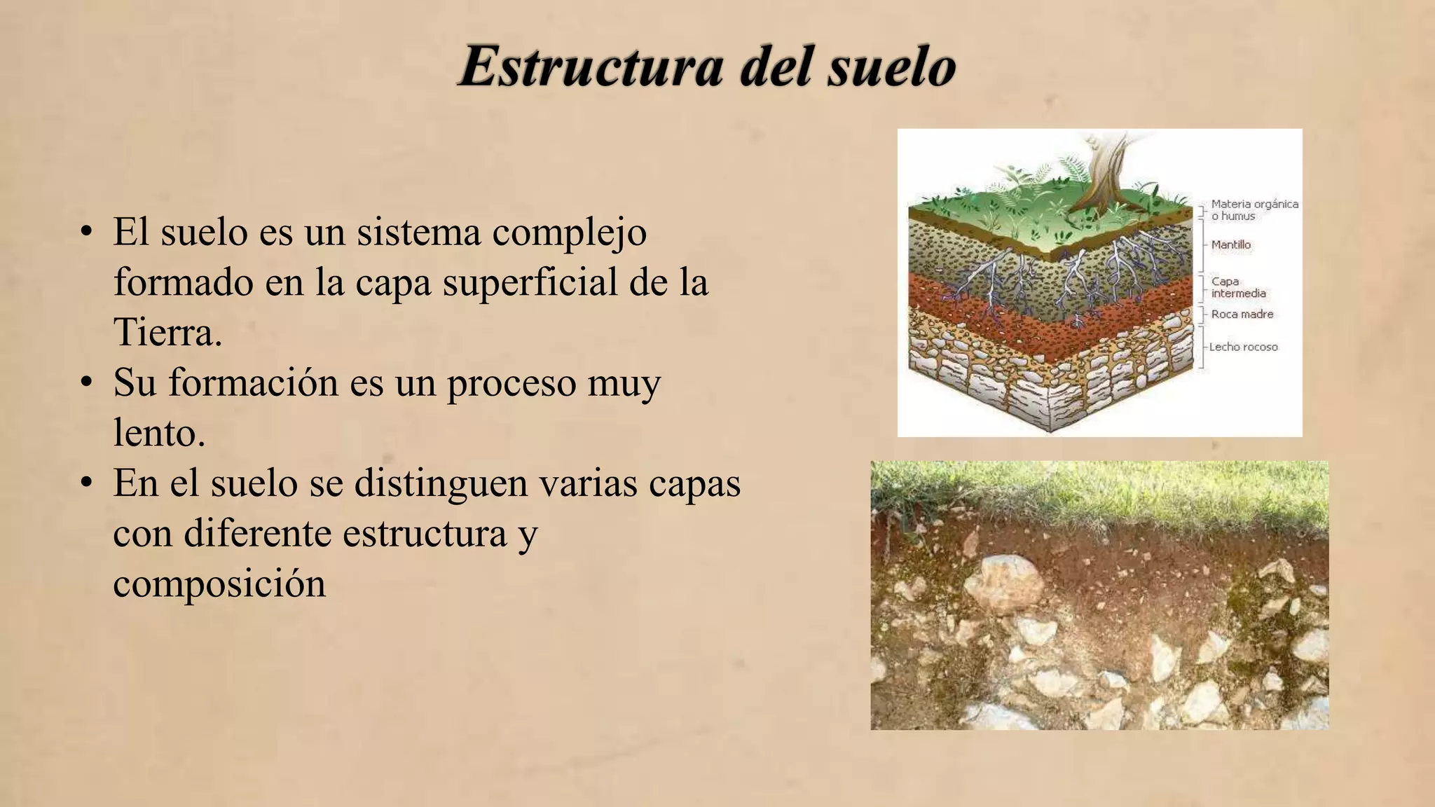 Los Suelos | PPT