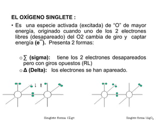 Metabolismo Del Oxigeno | PPTX