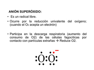 Metabolismo Del Oxigeno | PPTX