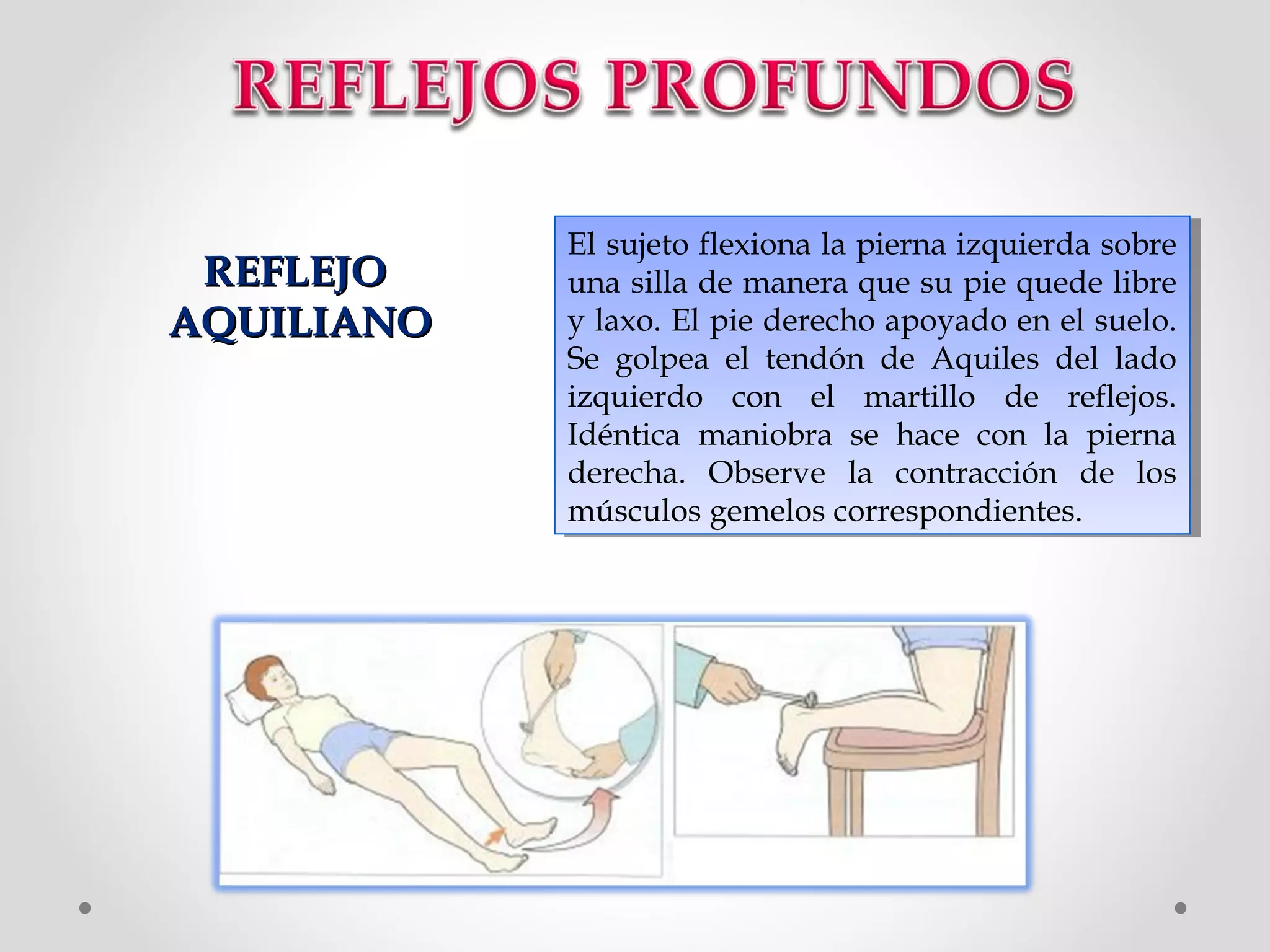 Exposicion de reflejos | PPT