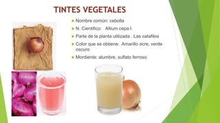 fibras y tintes naturales | PDF