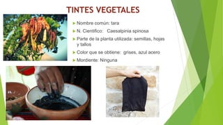 fibras y tintes naturales | PDF