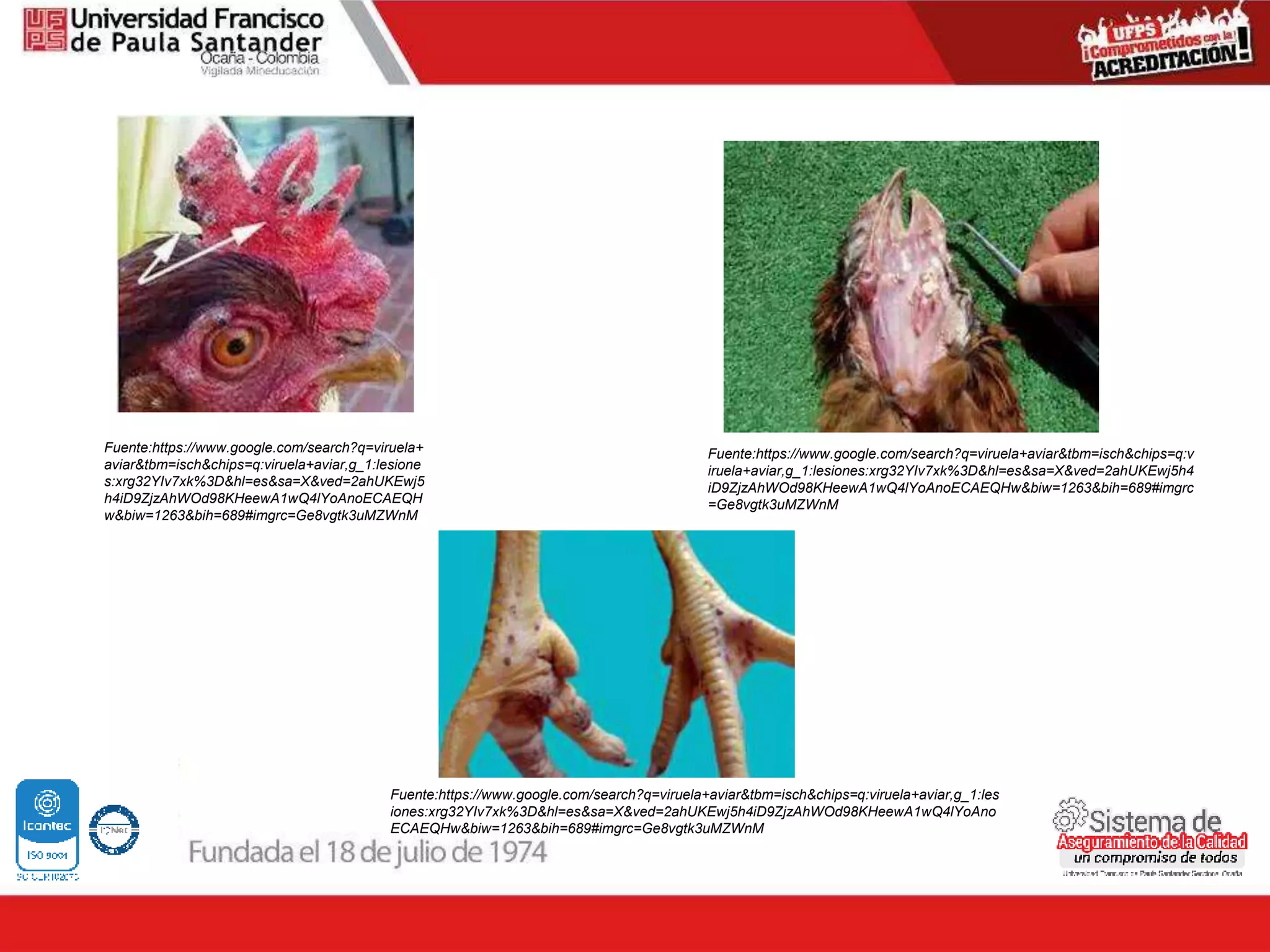 Exposicion de viruela aviar | PPT