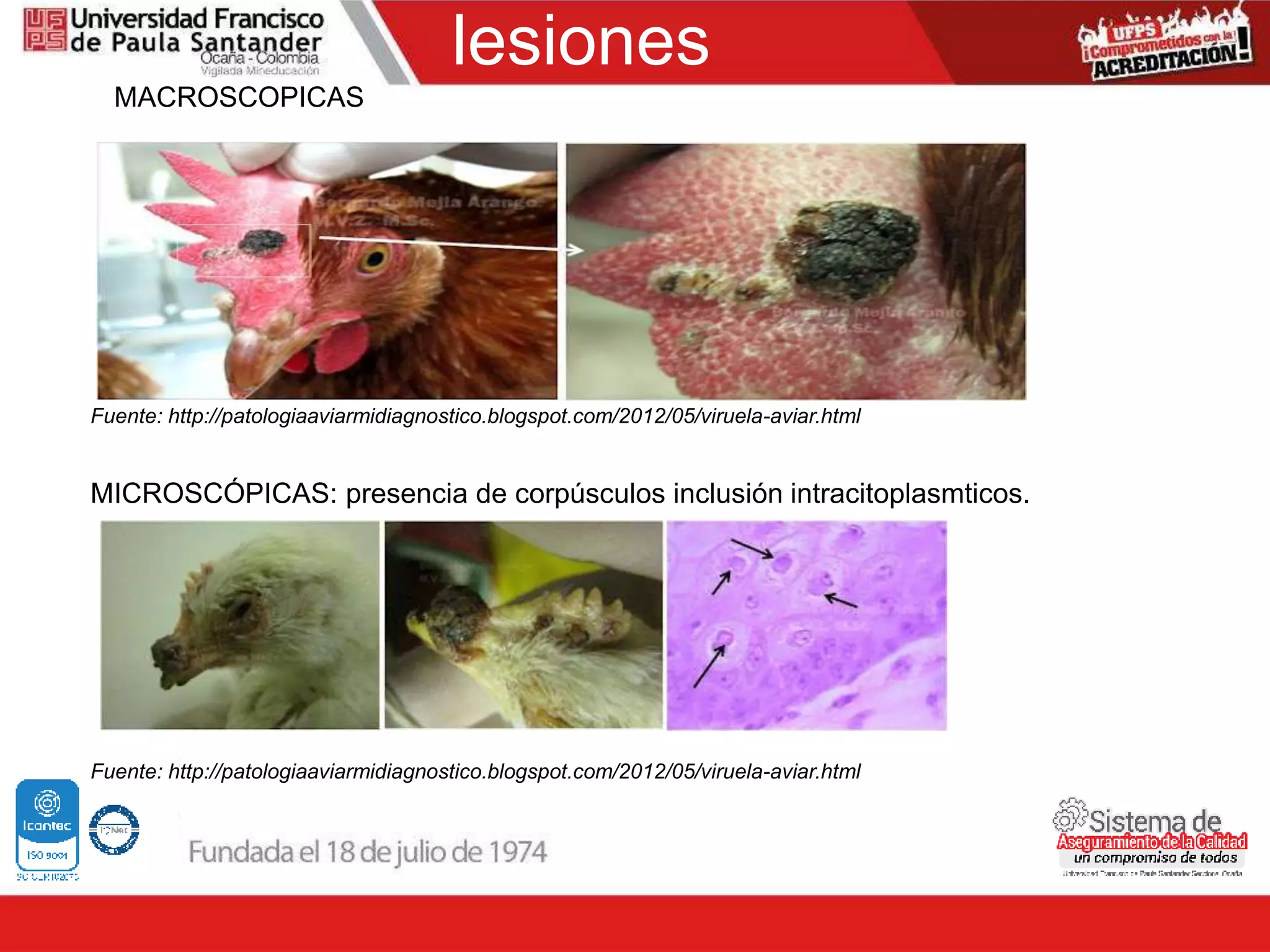 Exposicion de viruela aviar | PPT