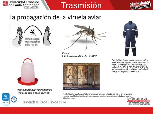 Exposicion de viruela aviar | PPT