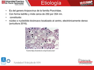 Exposicion de viruela aviar | PPTX