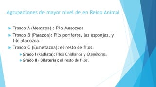 Exposicion de zoologia POR ESTEFANIA ALUISA | PPTX