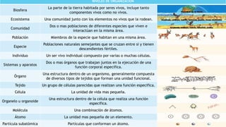 Exposicion de zoologia POR ESTEFANIA ALUISA | PPTX